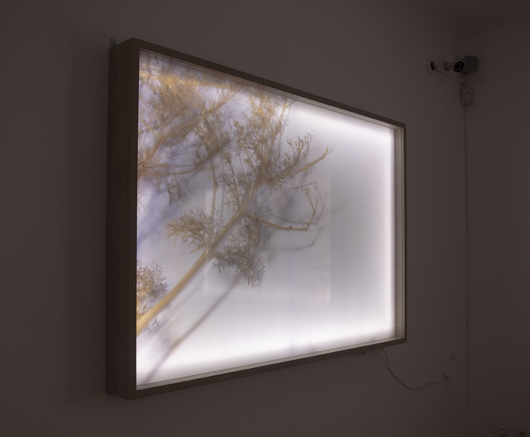 Nikoletta's || Portfolio